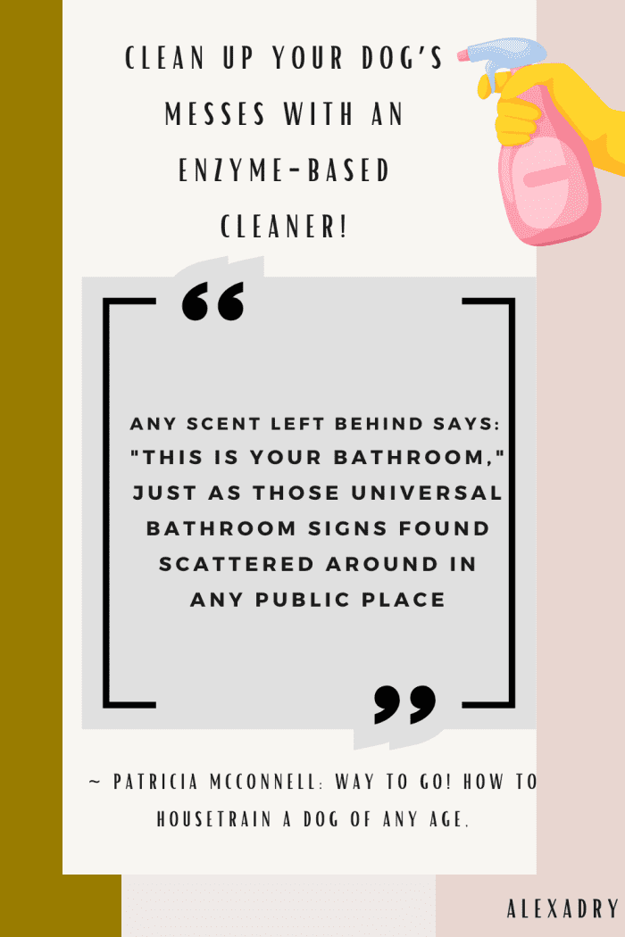 Litter Box Training a Dog: Pros, Cons, and Training Tips - HubPages