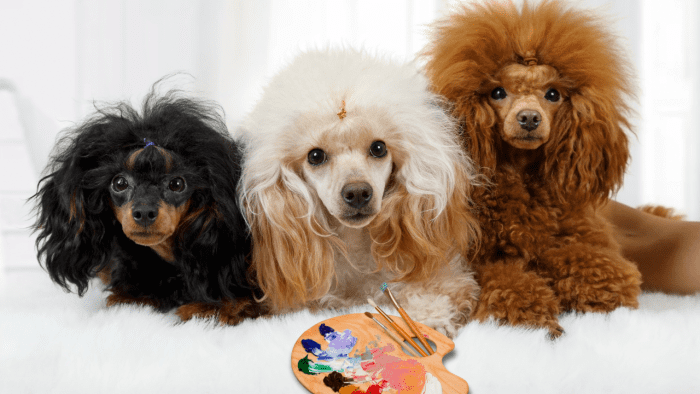 15 Dog Coat Colors and Patterns - HubPages