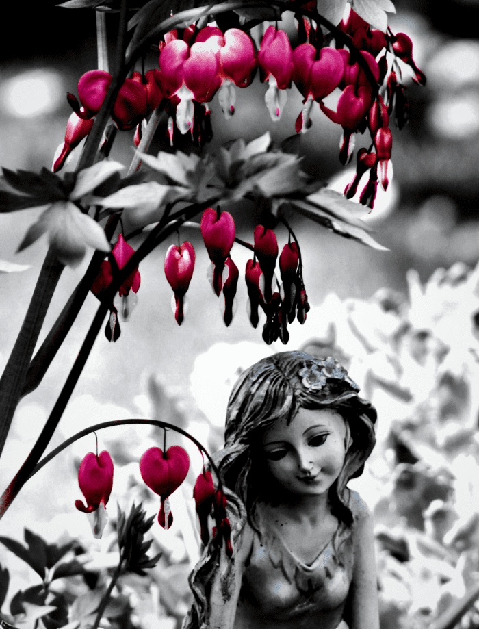 Five Creepy Plants That Are Easy To Grow - HubPages