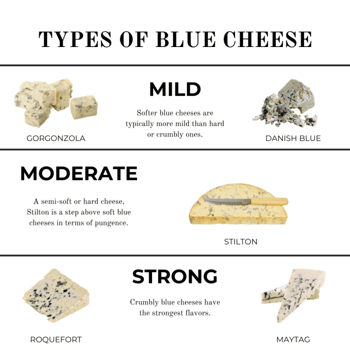 From Mild to Strong: How to Select the Best Blue Cheese - Delishably