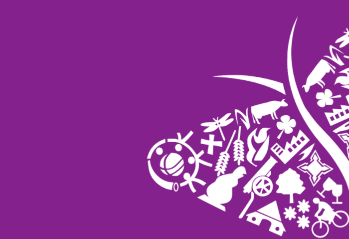 Flags That Have Purple Elements Around the World - HubPages