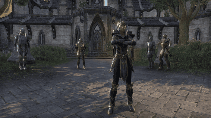 An Introduction to the Races of The Elder Scrolls - HubPages