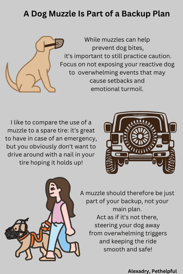 Help, My Leashed Dog Attacked an Off-Leash Dog! - HubPages