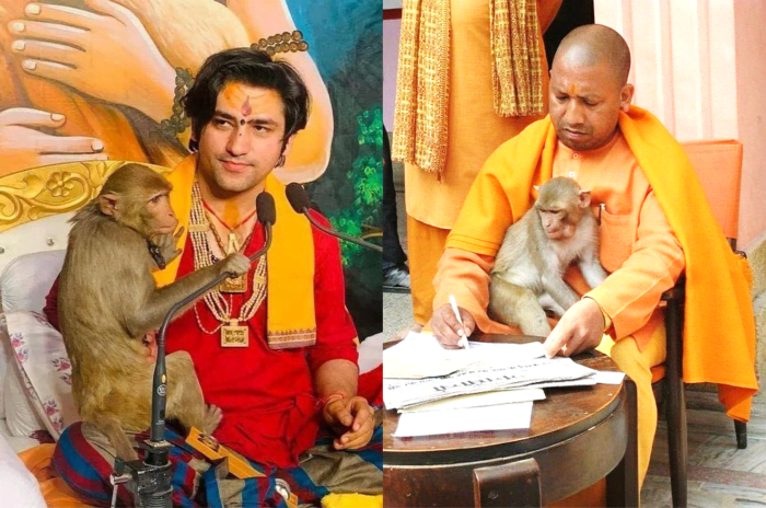 7 Most Sacred Animals In India And Their Religious Significance In ...