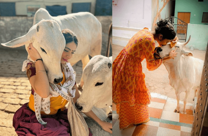 7 Most Sacred Animals In India And Their Religious Significance In ...