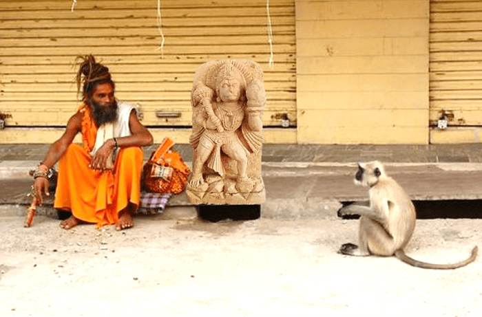 7 Most Sacred Animals In India And Their Religious Significance In ...