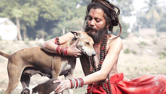 7 Most Sacred Animals In India And Their Religious Significance In ...