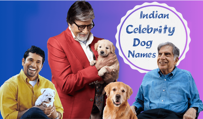 100+ Indian Celebrity Dog Names - HubPages