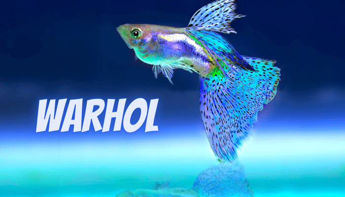 40 Fish Name Ideas Inspired by Famous Artists and Their Works - HubPages