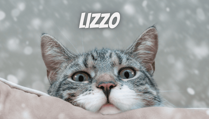 200 Pop Culture Inspired Cat Name Ideas - HubPages