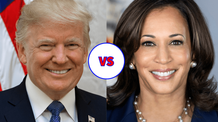 Trump vs Harris: Who Is Winning In The Polls? - HubPages