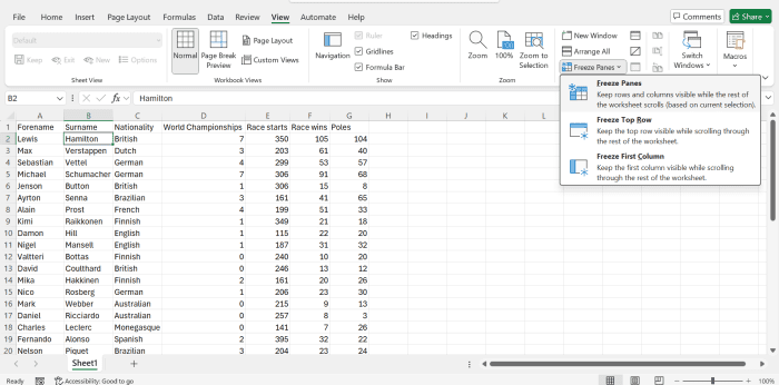How To Freeze Rows and Columns in Microsoft Excel - HubPages