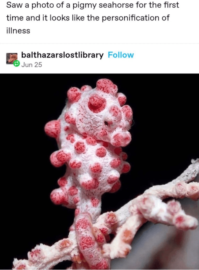 Simile, Metaphor, and Personification: A Brief Guide - HubPages