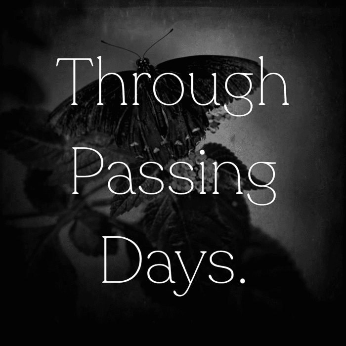 Through Passing Days. - HubPages