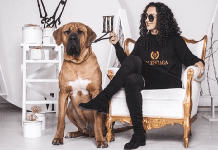 The 11 Largest Dogs From Asian Countries - HubPages