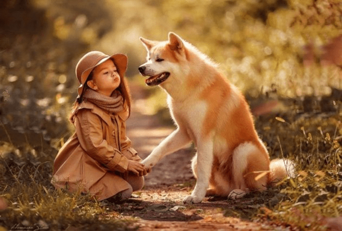 The 21 Most Affectionate Dog Breeds - HubPages