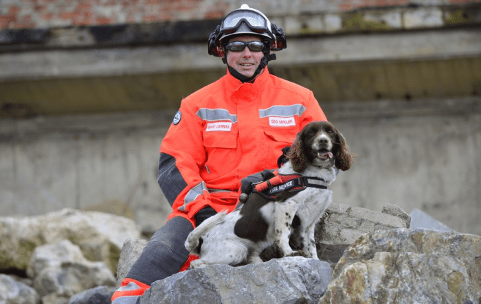 The 15 Best Search and Rescue Dog Breeds - HubPages