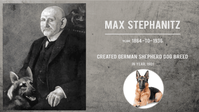 The 10 Most Respected Breeders Who Founded New Dog Breeds - HubPages