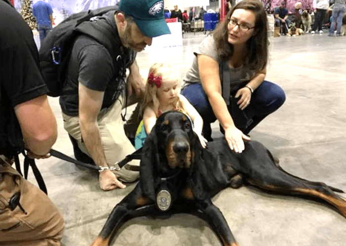 15 Best Detection Dog Breeds With Excellent Sense of Smell - HubPages