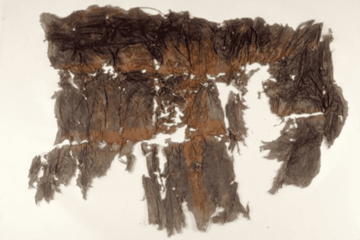 The Canadian Iceman - HubPages
