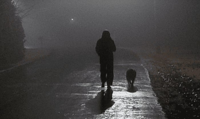 Why Is My Dog Waking in the Middle of the Night to Poop? - PetHelpful