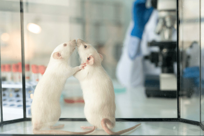 Watson, Pavlov, Thorndike, Skinner, and the Development of Behaviorism ...