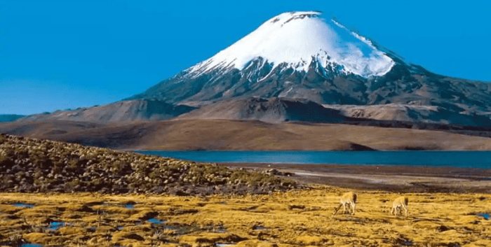 The 8 Largest Volcanoes in the World - HubPages
