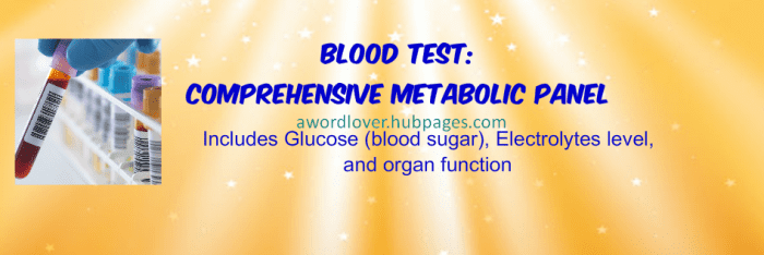 What Do My Blood Test Results Mean? - Part ONE - Complete Metabolic ...