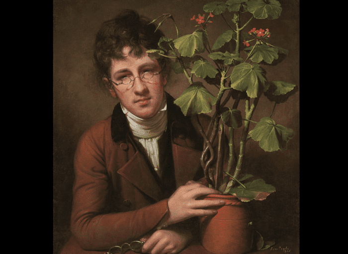 Facts About Pelargonium Inquinans: The Scarlet Geranium (Pelargonium ...