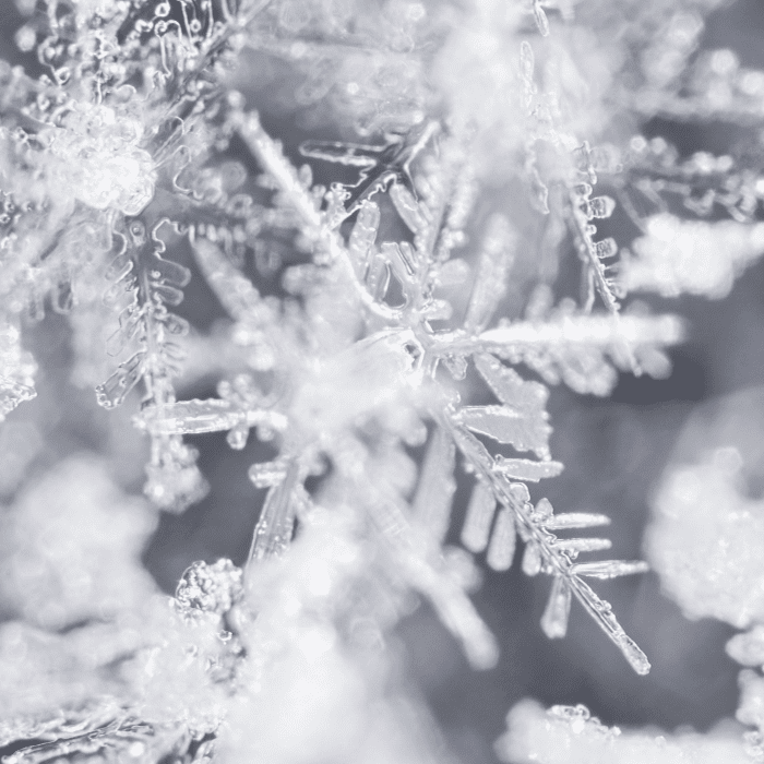 Facts About Snow: The Science and Beauty of Snowflake Diversity - HubPages