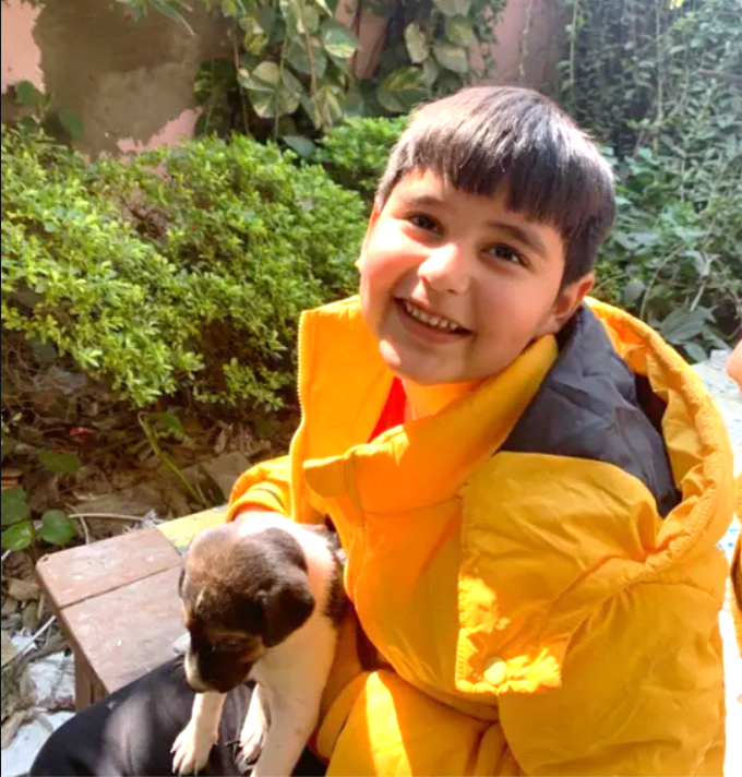 11 Reasons to Adopt an Indian Pariah Dog (Desi Kutta) - HubPages