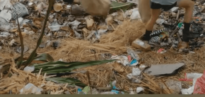 Reduce Toxic Waste From Our Planet - HubPages