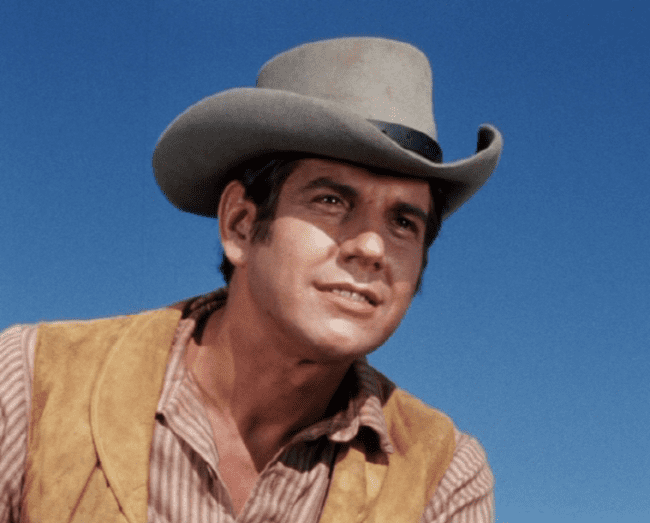 Jesse Pearson From Bye Bye Birdie Also Starred on the Andy Griffith ...