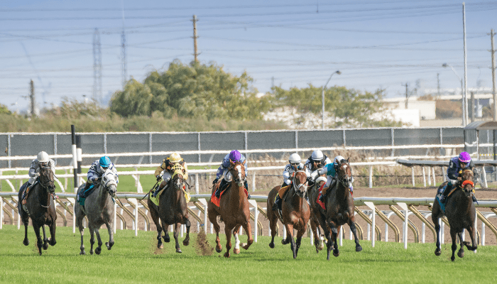 150 Kentucky Derby Messages, Captions, Texts, and Quotes for 2025 ...