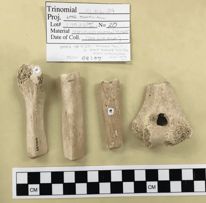 Bones of the Ancestors: Modified Human Remains in Prehistoric South ...