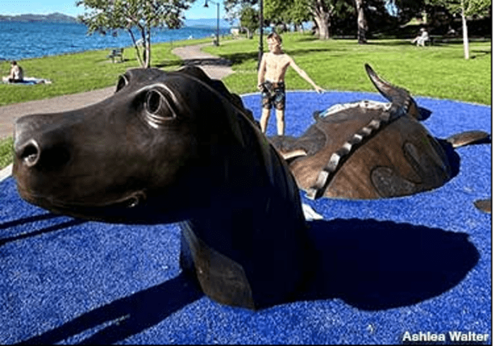 What Is Lurking in Flathead Lake? - HubPages