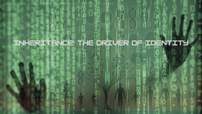 The Blueprint of Life and Code: How Human Nature Mirrors Programming Fundamentals - HubPages