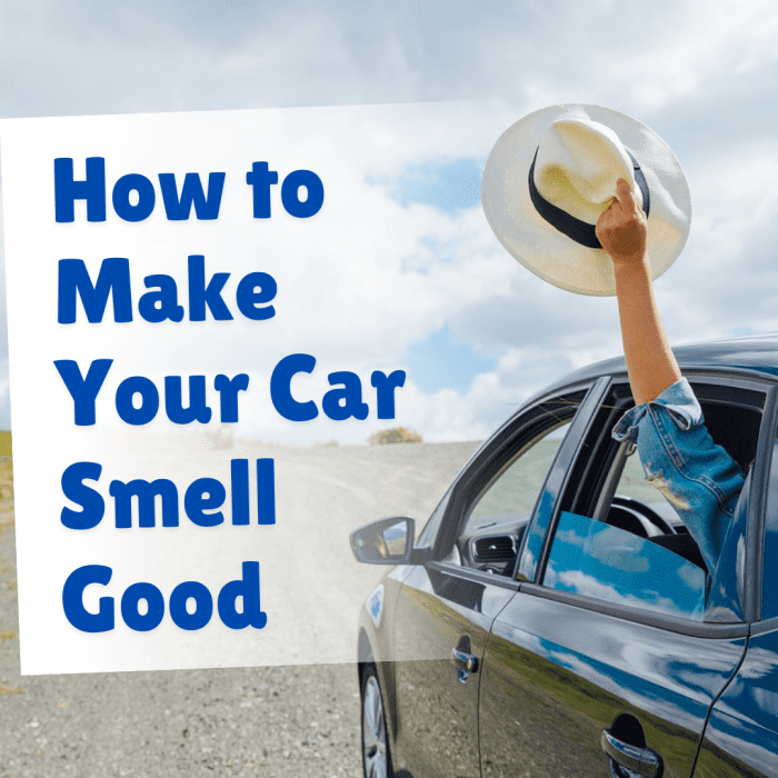 How to Make Your Car Smell Good With Tips to Using Air Fresheners ...