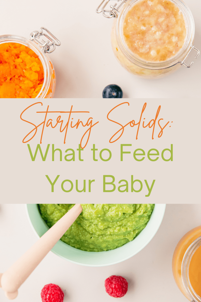 Starting Solids: What to Feed Your Infant - HubPages