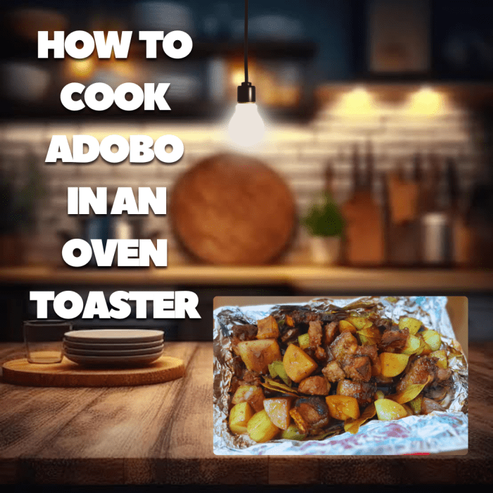 How to Cook Adobo in an Oven Toaster - HubPages
