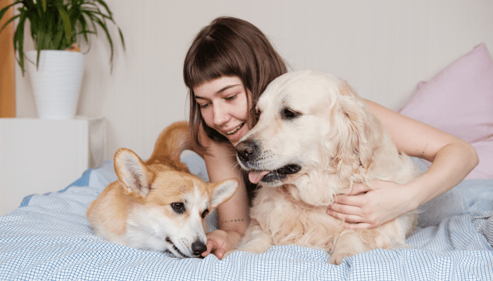 100 National Pet Day Messages: Heartfelt, Funny & Cute Texts to ...