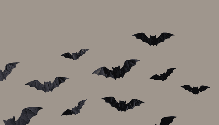 60 Bat Appreciation Day Messages: Quotes, Captions & Texts to Celebrate ...