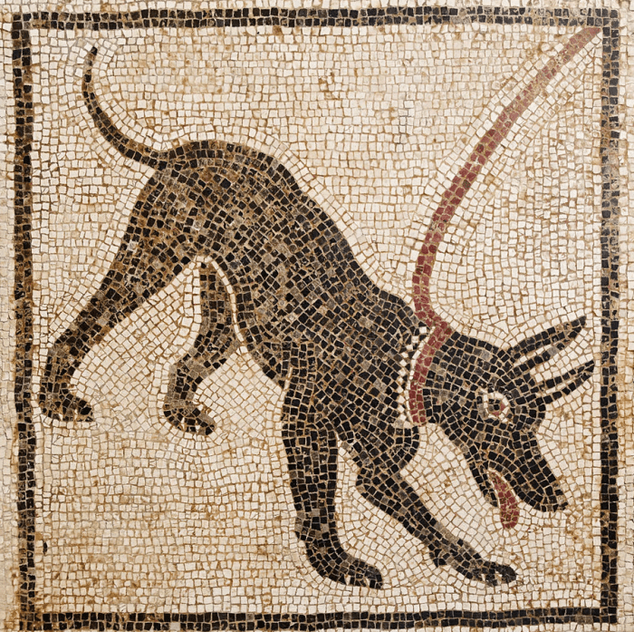 New Study Reveals How Romans May Have Sacrificed Beloved Dogs in ...