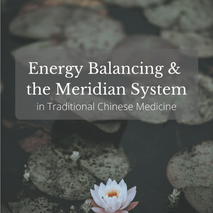 A Guide to the 12 Major Meridians of the Body - RemedyGrove - Holistic ...