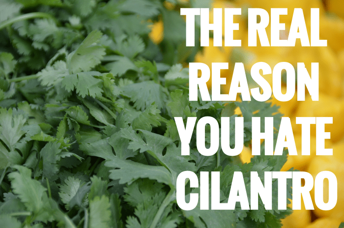 The Real Reason Why Cilantro Tastes Like Soap - Delishably - Food and Drink