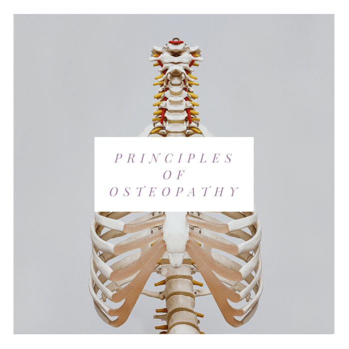 The Principles of Osteopathy - RemedyGrove - Holistic Wellness
