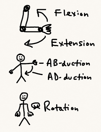 Human Anatomy: Anatomical Terminology, Orientation, and Movement ...