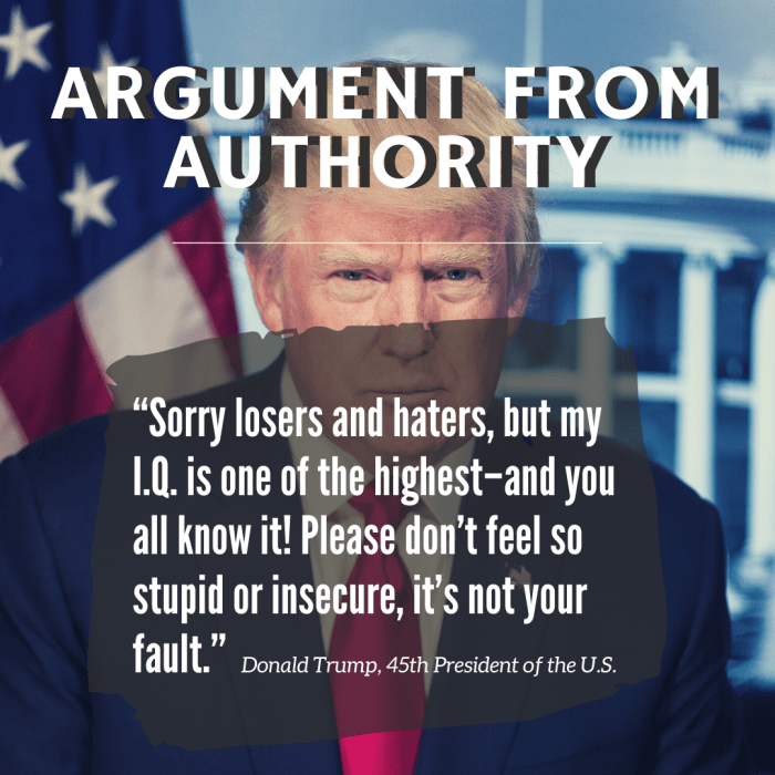 Examples Of How Logical Fallacies Are Used Owlcation