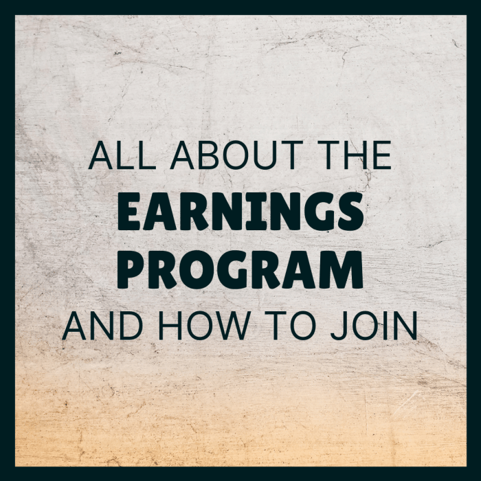 How to Sign Up for the Earnings Program - HubPages Help