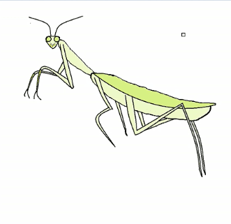 How to Draw a Praying Mantis - HubPages